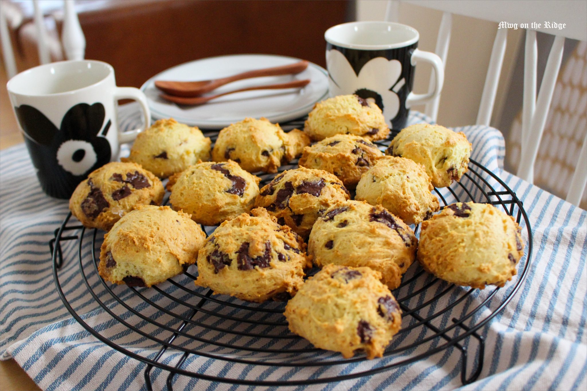 No Butter Easy Chocolate Chip Cookies – Meg on the Ridge